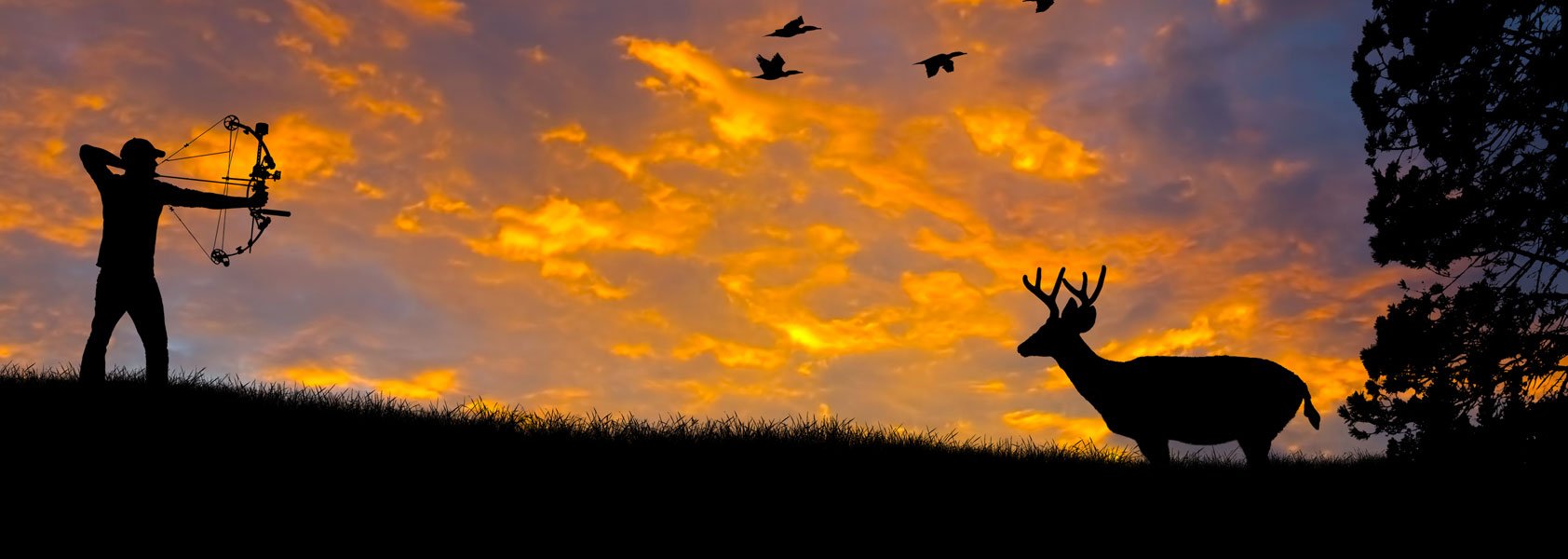 FireWire Custom Bow Strings - Canada – Firewire Custom Bow Strings